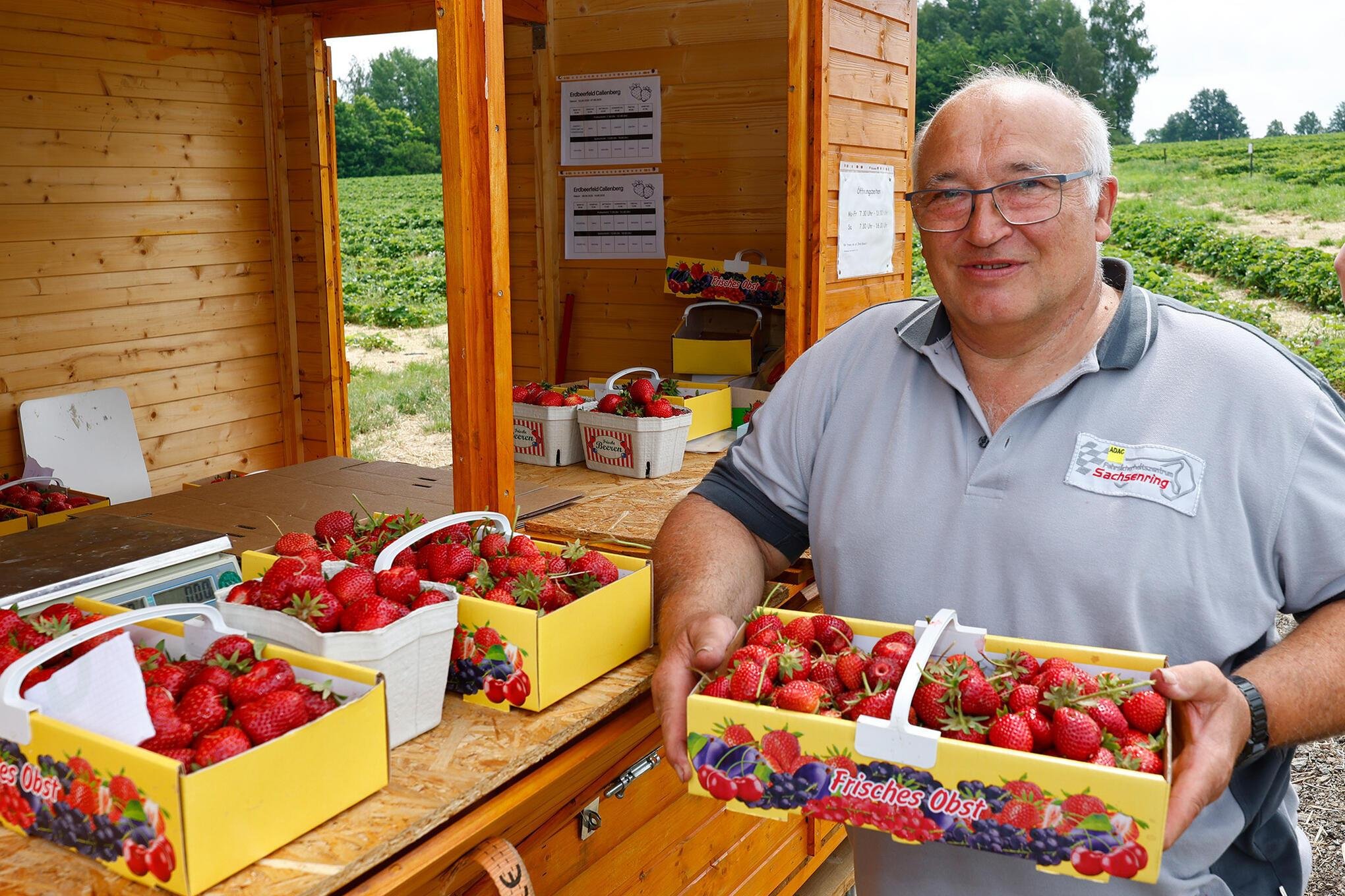 Erdbeeren direkt vom Feld: Saisonstart für Selbstpflücker in Callenberg