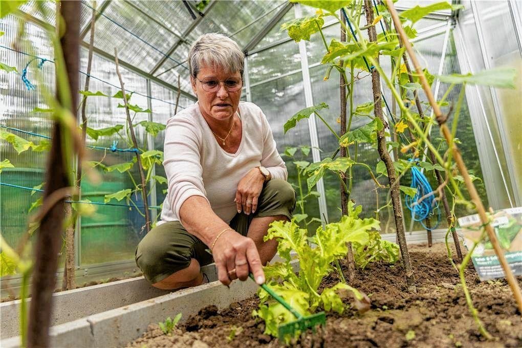 Grünes Projekt für selbstbewusste Menschen in Auerbach: Wie das ...