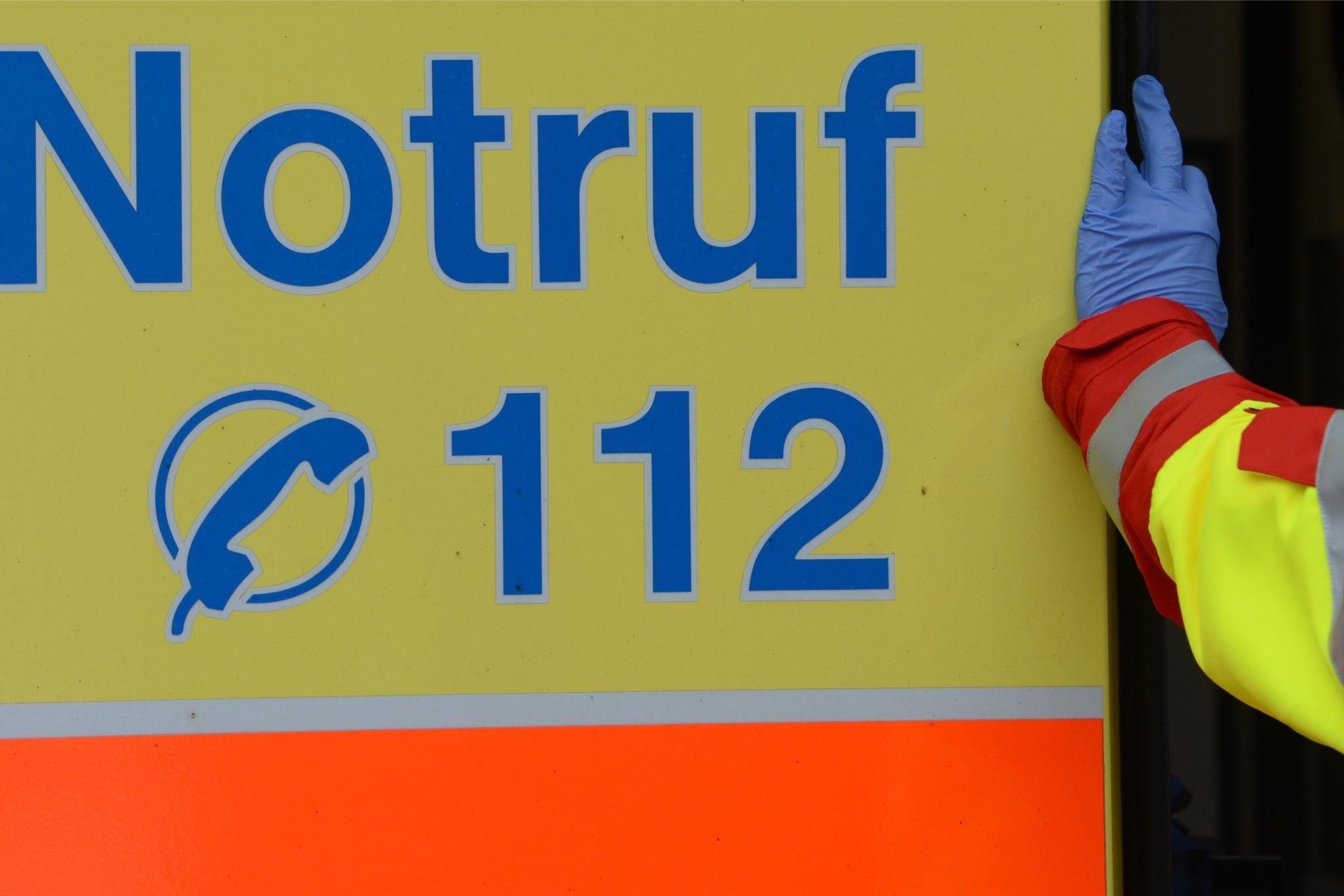 Wespenstich-Notfall im Vogtland? Wie sich ein allergischer Schock ankündigt