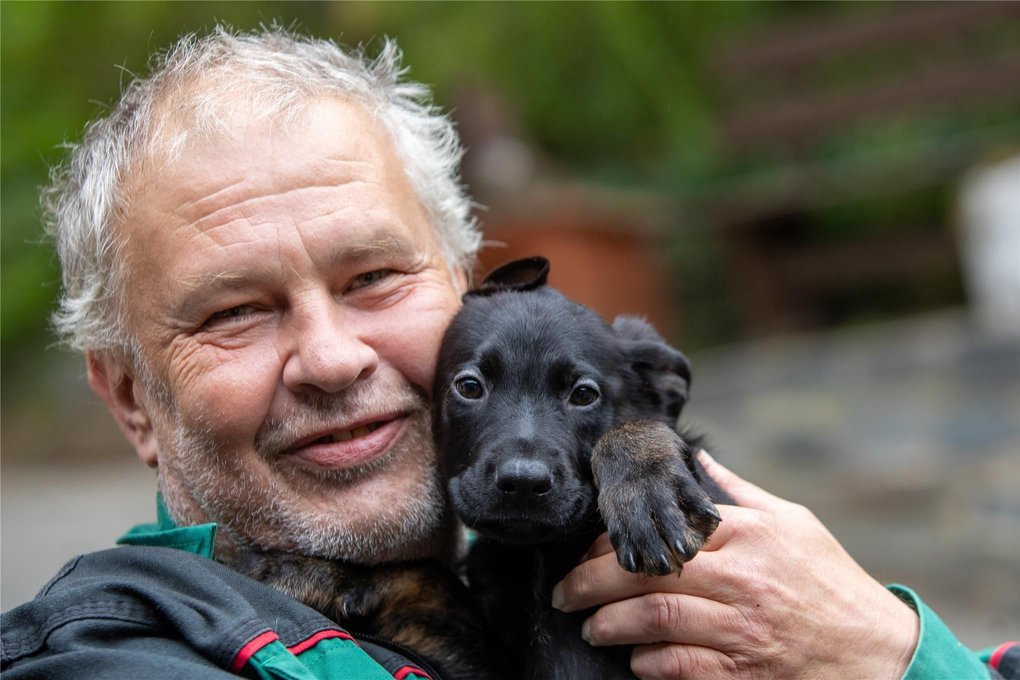 Nach Welpen-Alarm im Plauener Tierheim: Labrador-Mischlinge rufen ...